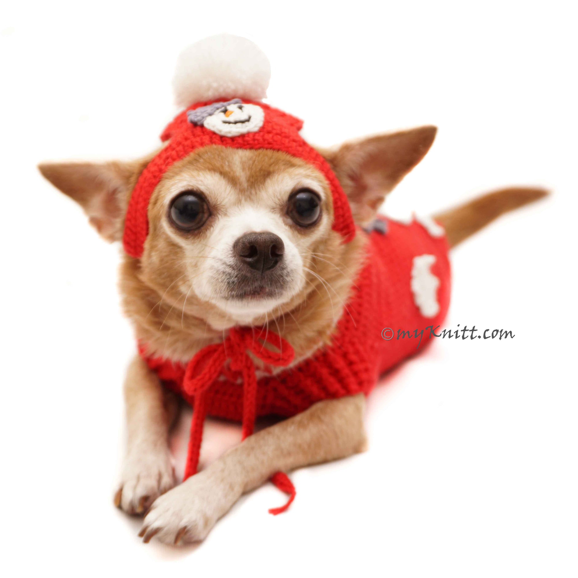 Snowman Dog Costume with Matching Pom Pom Hat Christmas DF90| myknitt